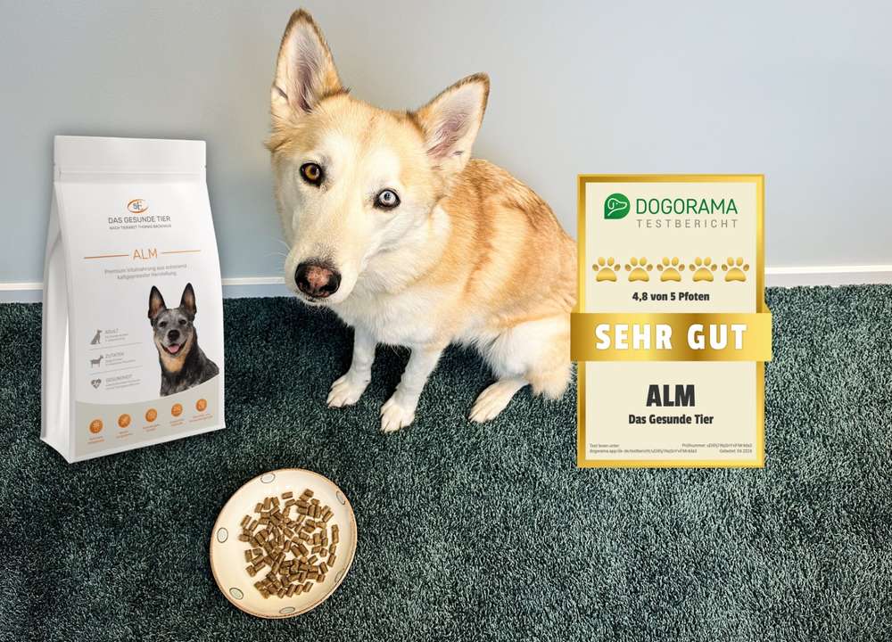 Das Gesunde Tier Hundefutter Test