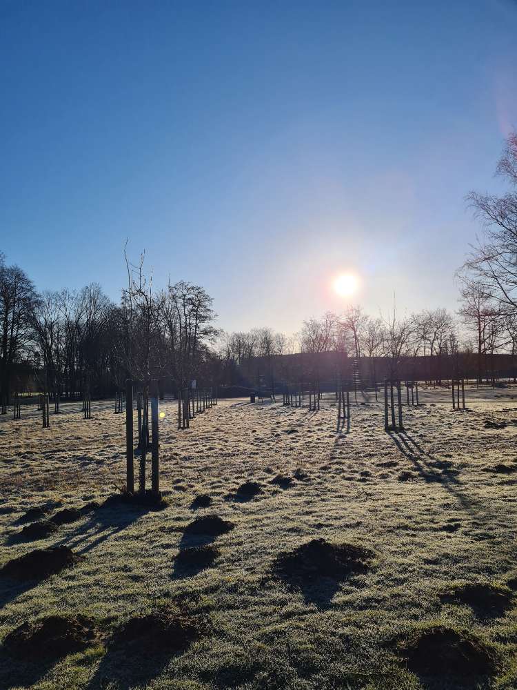 Berliner Park – Hundeauslaufgebiet in Ahlen – Dogorama App