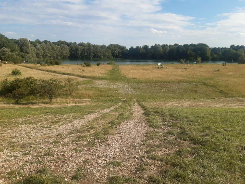 Mallertshofer See – Hundeauslaufgebiet in Oberschleißheim – Dogorama App