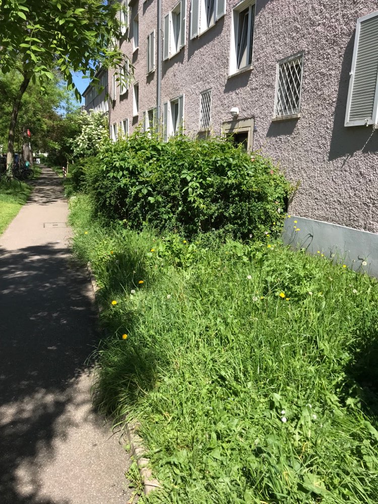 Wurst-Haufen mit Pink-Färbung im Gras in Freiburg im Breisgau – 11. Mai ...