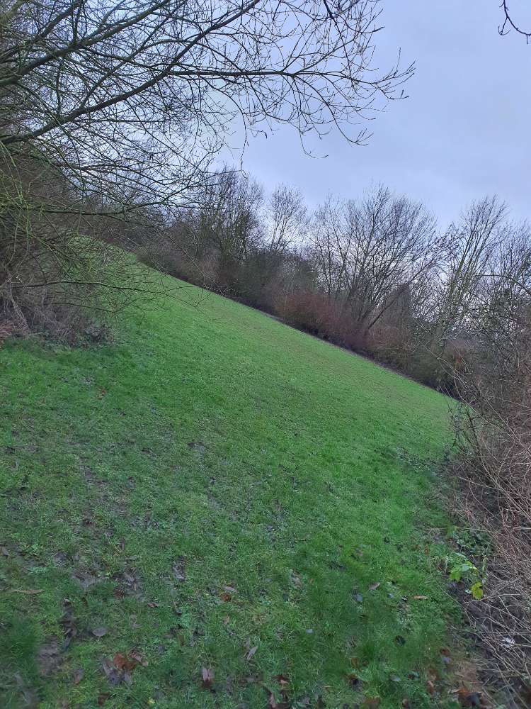 Sindorf – Hundeauslaufgebiet in Kerpen – Dogorama App